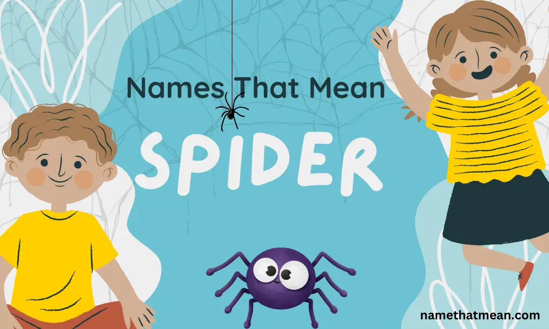Best 45 Baby Names That Mean Spider in 2024 | Name That Mean